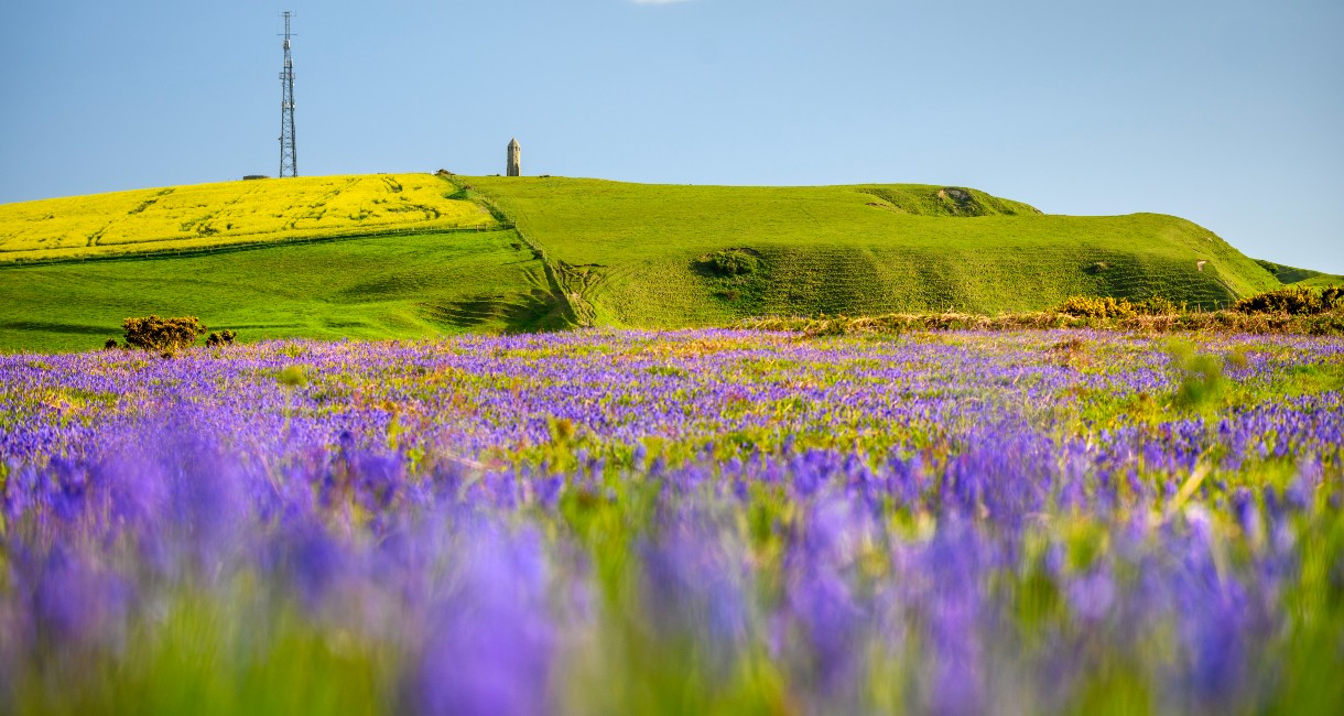 Spring on the Isle of Wight | Mild Weather and Outdoor Fun