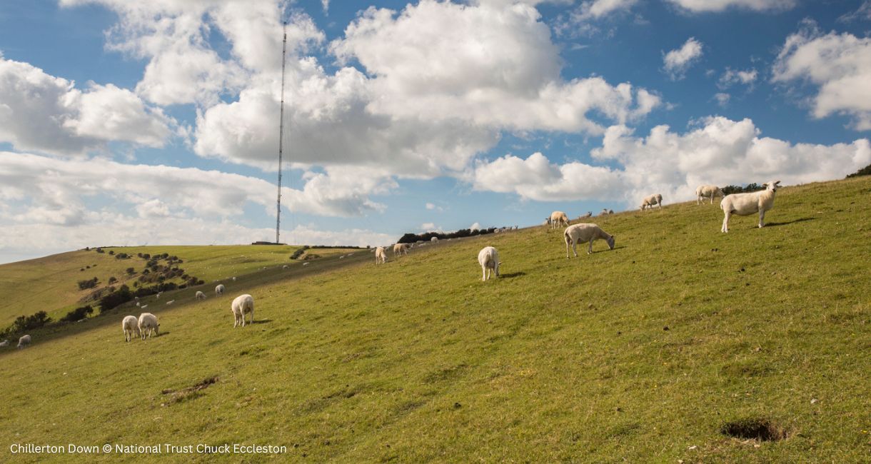 Five must-do climbs on the Isle of Wight - Visit Isle Of Wight