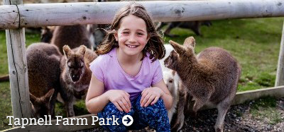 Things to Do on the Isle of Wight - Attractions & Activities