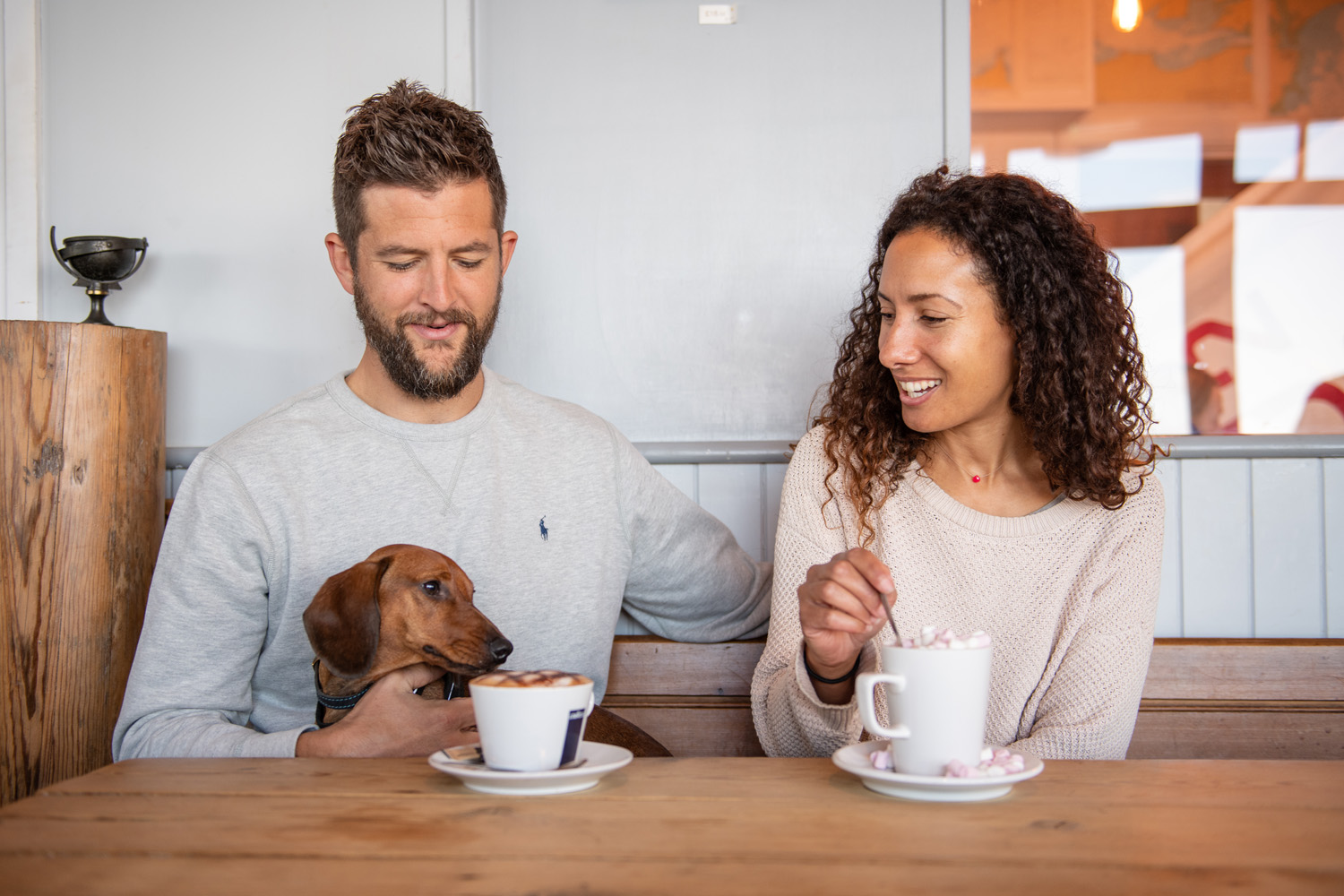 Tripadvisor s Most Dog Friendly Places On The IOW Visit Isle Of Wight tripadvisor-s-most-dog-friendly-places-on-the-iow-visit-isle-of-wight