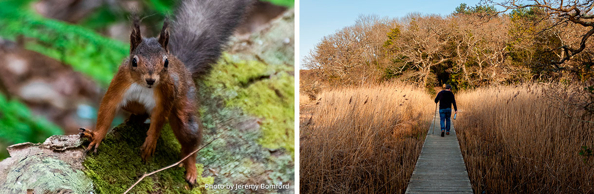 Isle of Wight UNESCO Biosphere Reserve - Visit Isle Of Wight