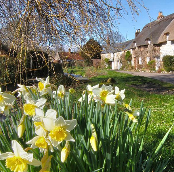 Visit Isle of Wight - Official Tourism Site