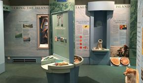 Museum of Island History - NEWPORT - Visit Isle Of Wight