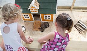 Tapnell Farm Park - YARMOUTH - Visit Isle Of Wight