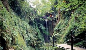 Shanklin Chine - SHANKLIN - Visit Isle Of Wight