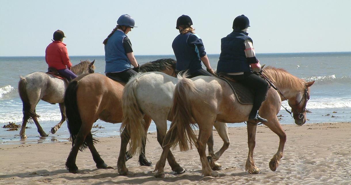 Horse Riding on Isle of Wight - VisitIsleOfWight.co.uk