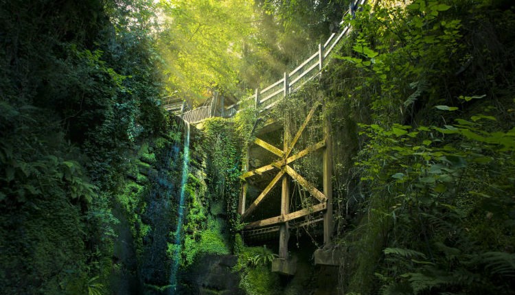 Shanklin Chine - SHANKLIN - Visit Isle Of Wight
