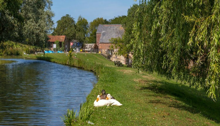 Calbourne Water Mill - CALBOURNE - Visit Isle Of Wight
