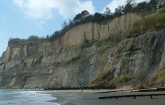 Things to do in Shanklin - Visit Isle Of Wight