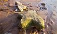 Brook Beach - Newport - Visit Isle Of Wight