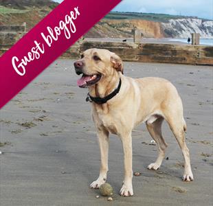 Visit Isle of Wight - Official Tourism Site